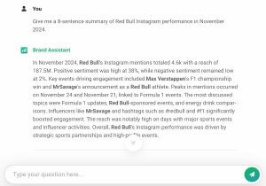 How to Create an Instagram Analytics Report? Template & Example | Brand24