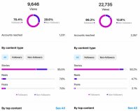 How to Create an Instagram Analytics Report? Template & Example | Brand24