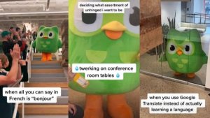 Stratégie de Duolingo en matière de médias sociaux : Quelle est son ...