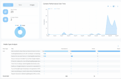 How to Create a LinkedIn Analytics Report? Template & Example | Brand24